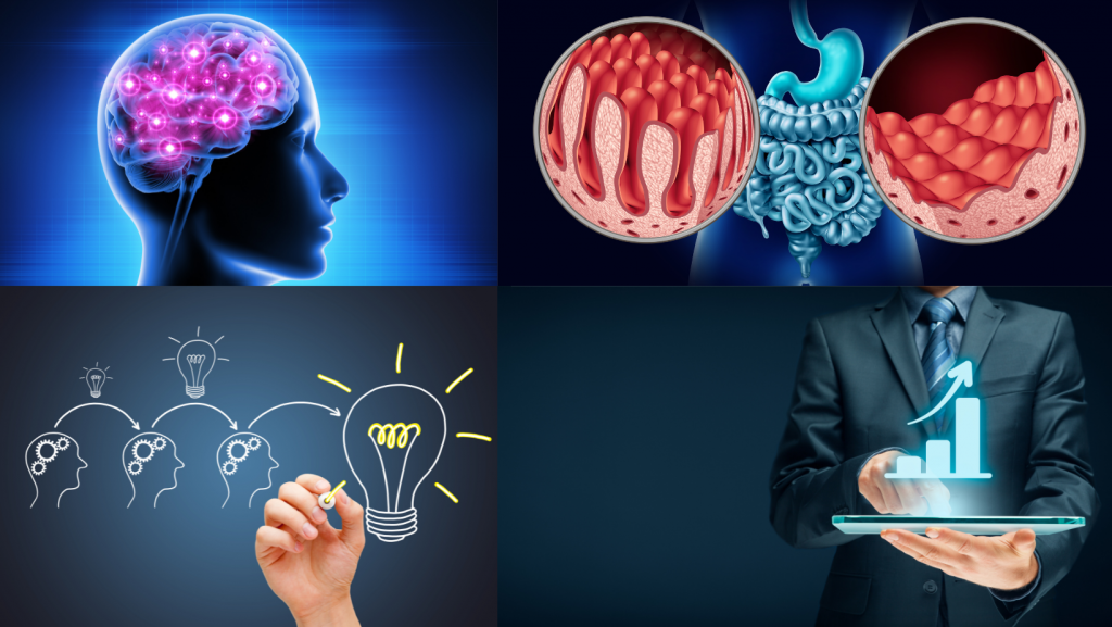 O Que É O Segundo Cérebro E Como Cuidar Bem Dele? - Otimizes